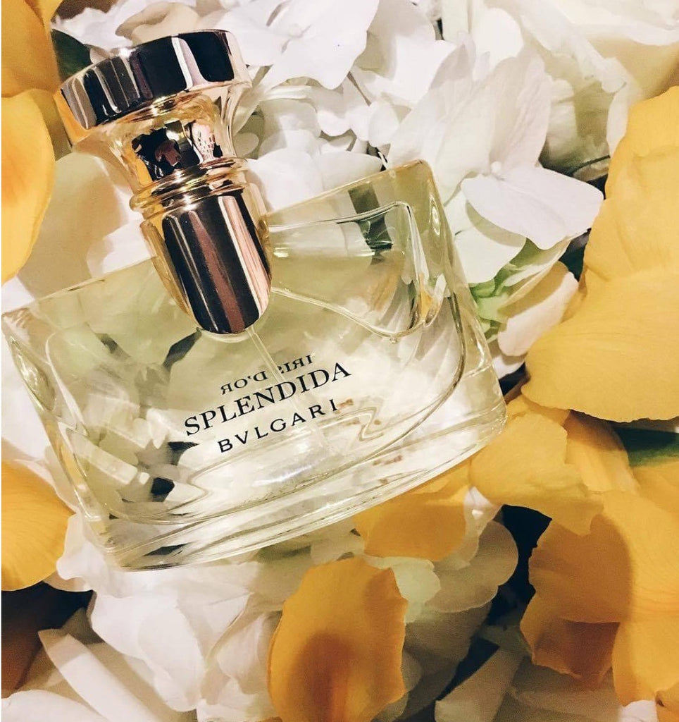 Splendida Iris D'Or EDP – Fragkart